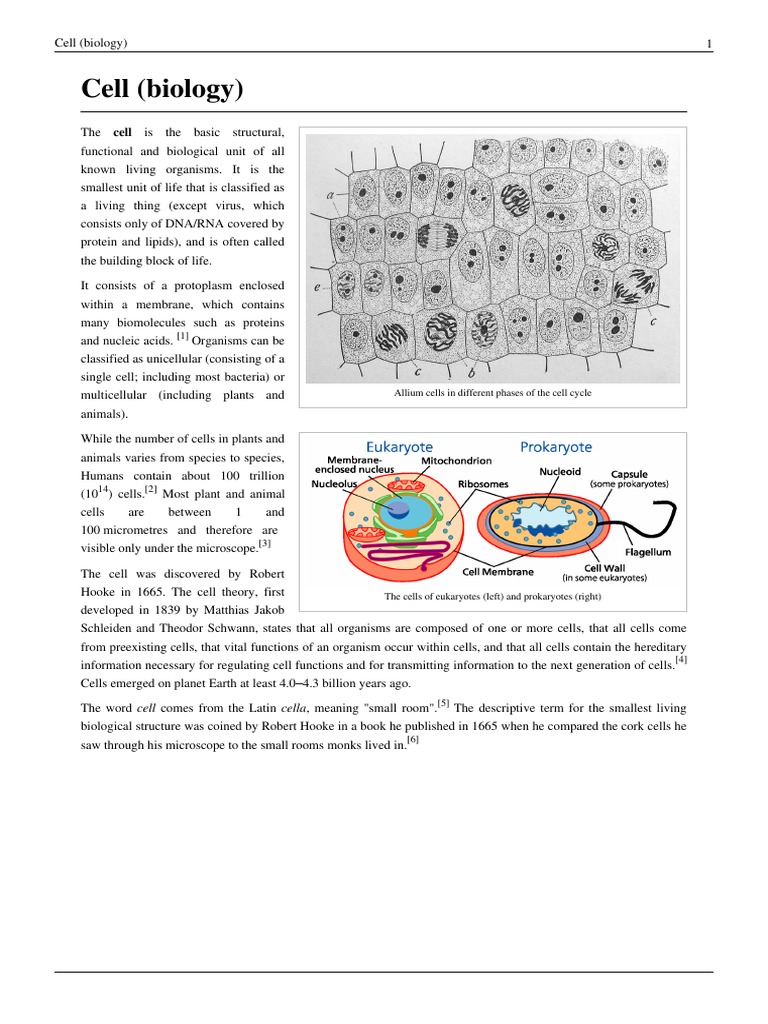 The Cell (Biology) | PDF | Messenger Rna | Cell (Biology)