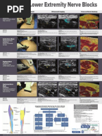 Upper Extremity Nerve Blocks Guide | PDF | Elbow | Arm