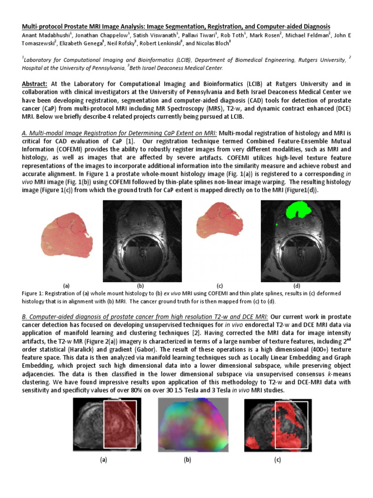 Medical Imaging Thesis | PDF | Magnetic Resonance Imaging | Medical Imaging