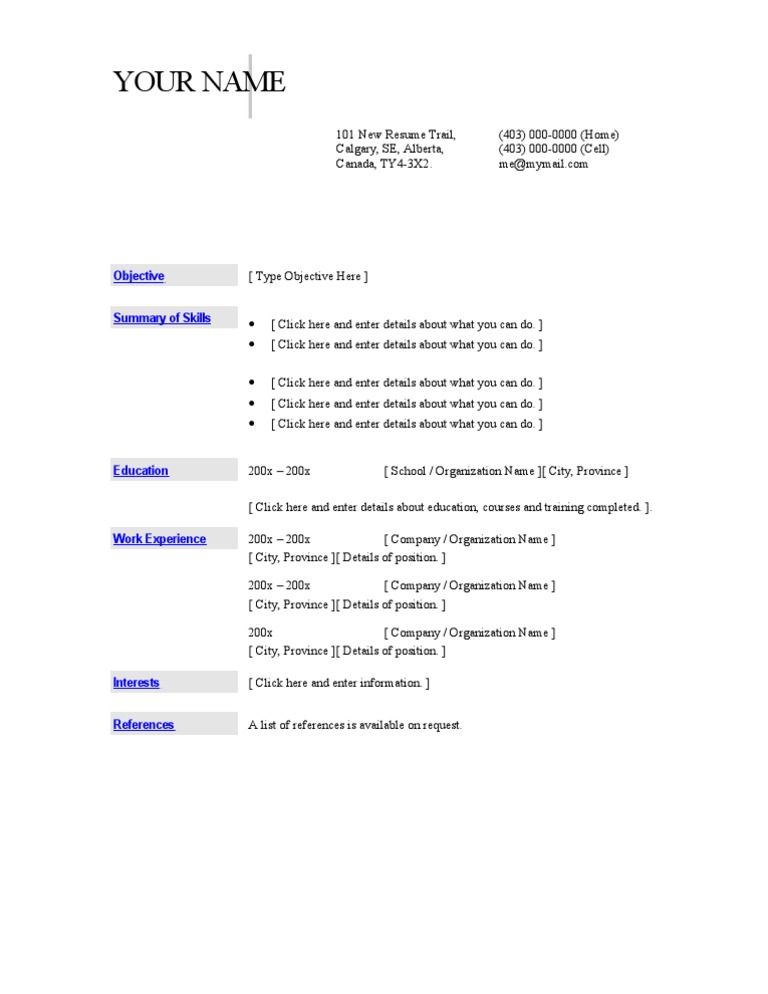 Professional Resume Template Guide | PDF | Business