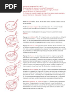 Receta del Birote Salado de Guadalajara | PDF | Panes | Aluminio
