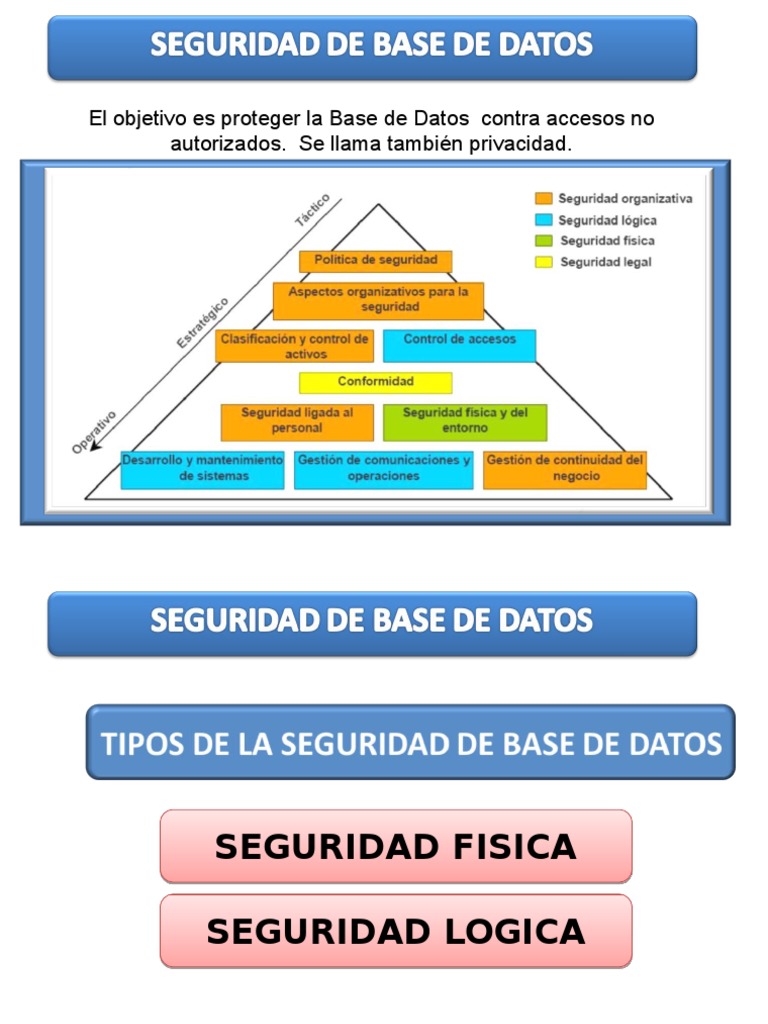 TEMA No 5 SEGURIDAD BASE DE DATOS OCTAVO.ppt | Usuario (informática ...