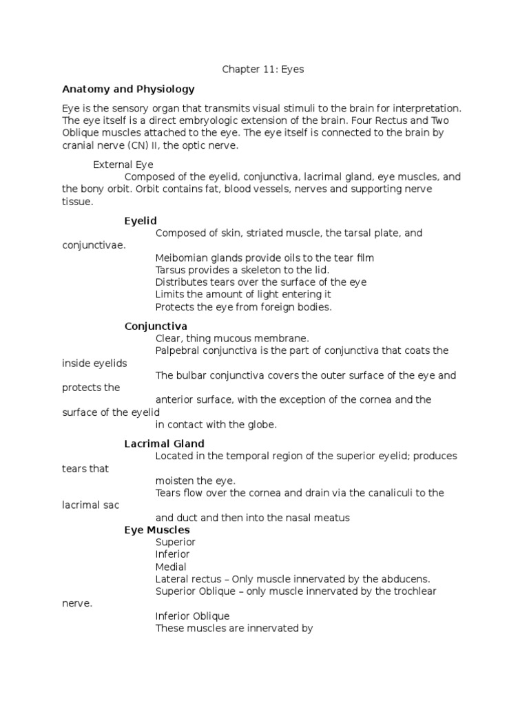 Health Assessment Nursing Chapter 11: Eyes | PDF | Human Eye | Cornea