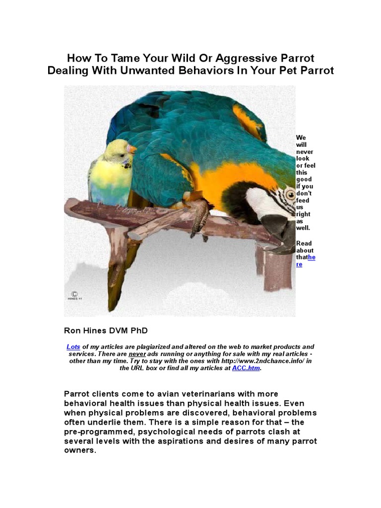 How To Tame Your Wild or Aggressive Parrot | PDF | Parrot | Aggression