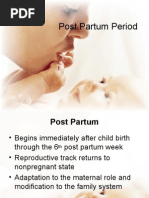 Postpartum Assessment: BUBBLE-HE Guide | PDF | Breastfeeding ...
