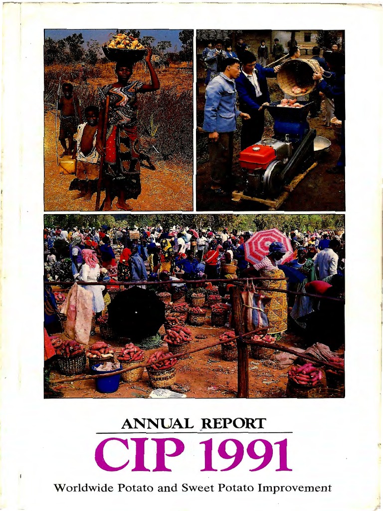 1991 CIP Annual Report Overview | PDF | Cereals | Potato