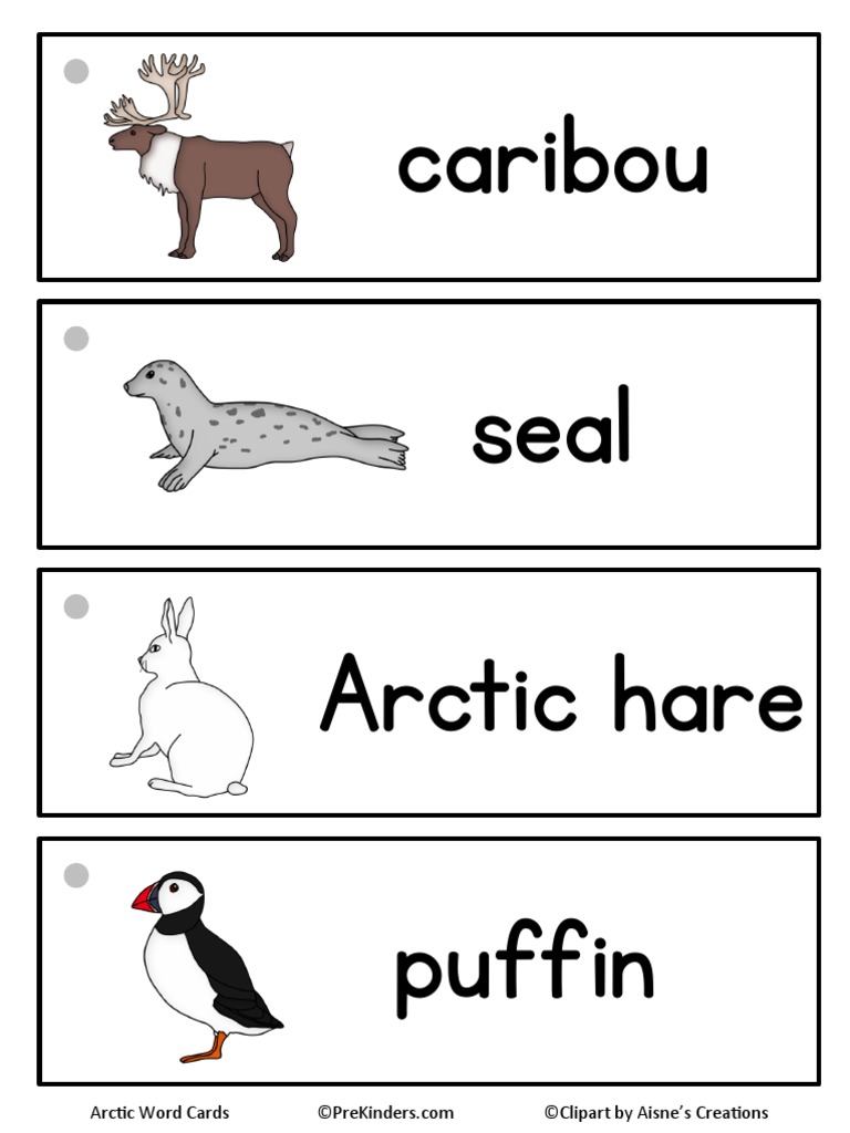 Arctic Animal Clipart Collection | PDF