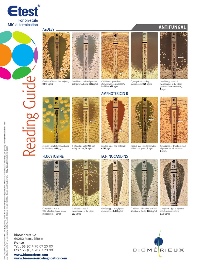 Etest Guide Antifungal-1 | PDF