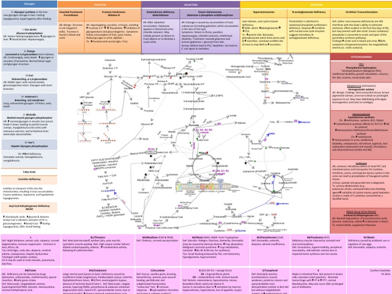 Biochemistry Metabolic Pathways & Pathologies | Biochemistry | Organic Compounds