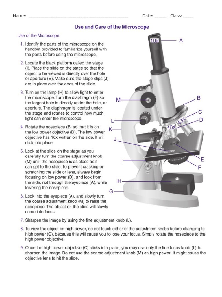 15-Use and Care of Microscope Ws | PDF