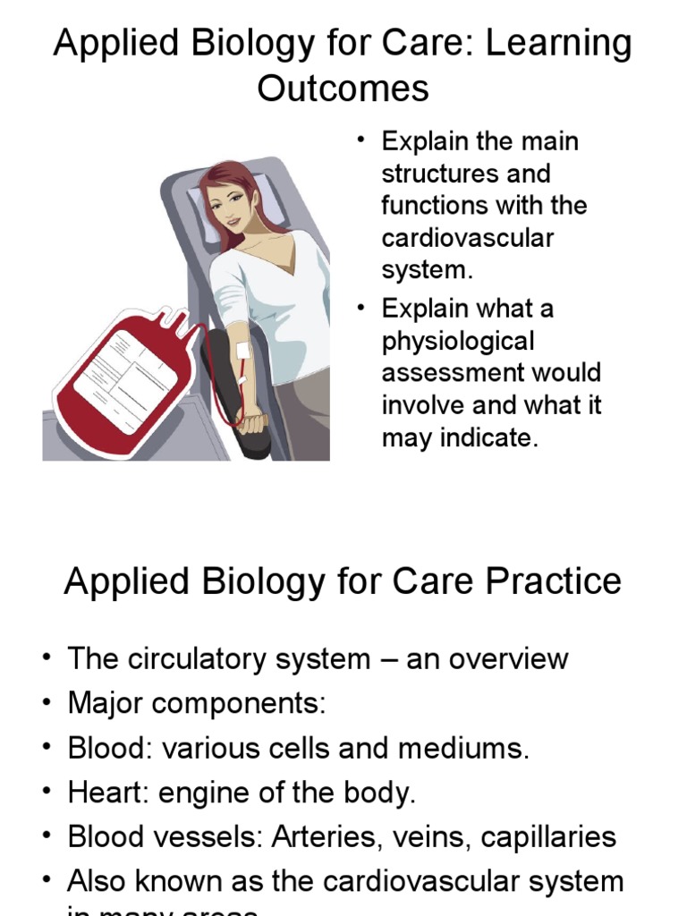 Cardiovascular System Overview & Assessment | PDF | Self-Improvement ...