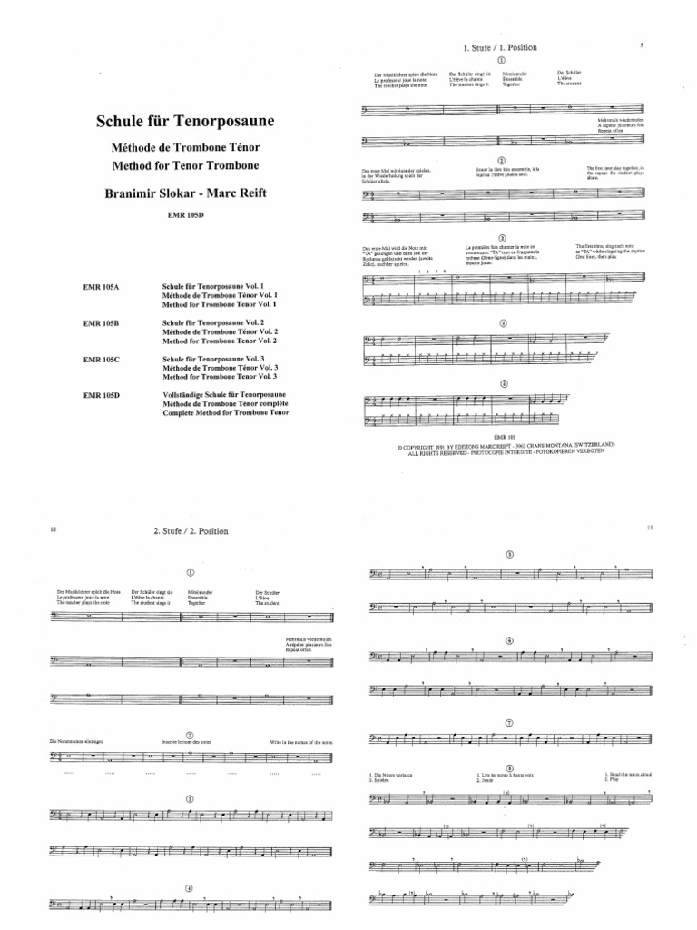 Branimir Slokar | PDF