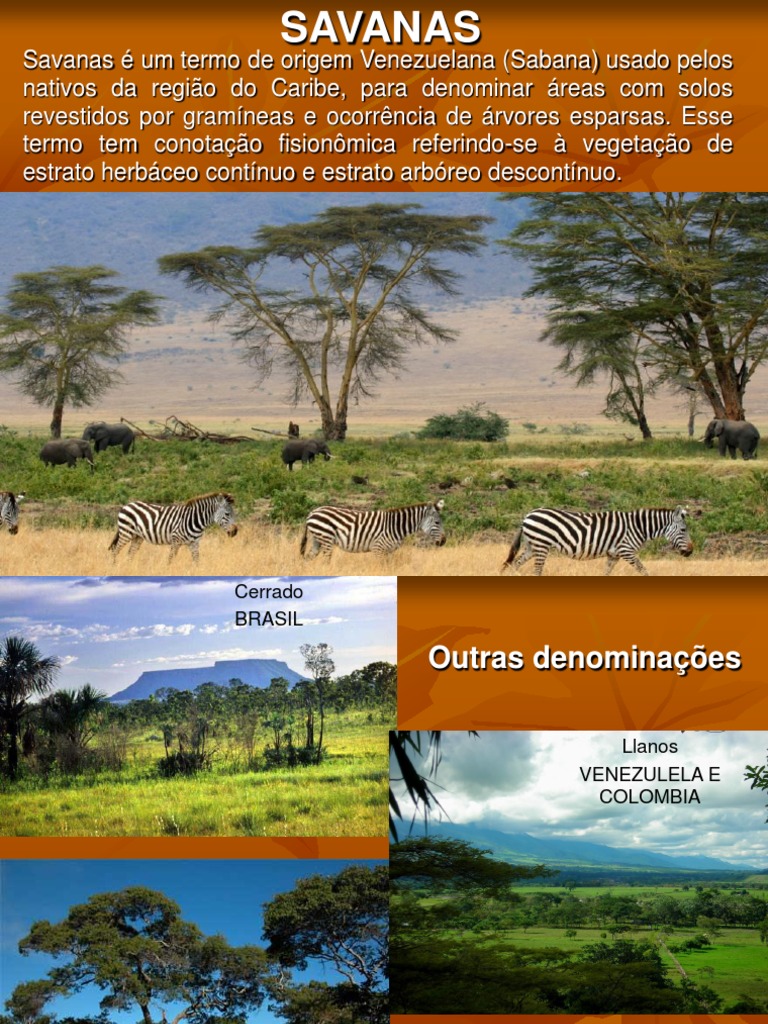 Aula 10 Savanas | Savana | Florestas