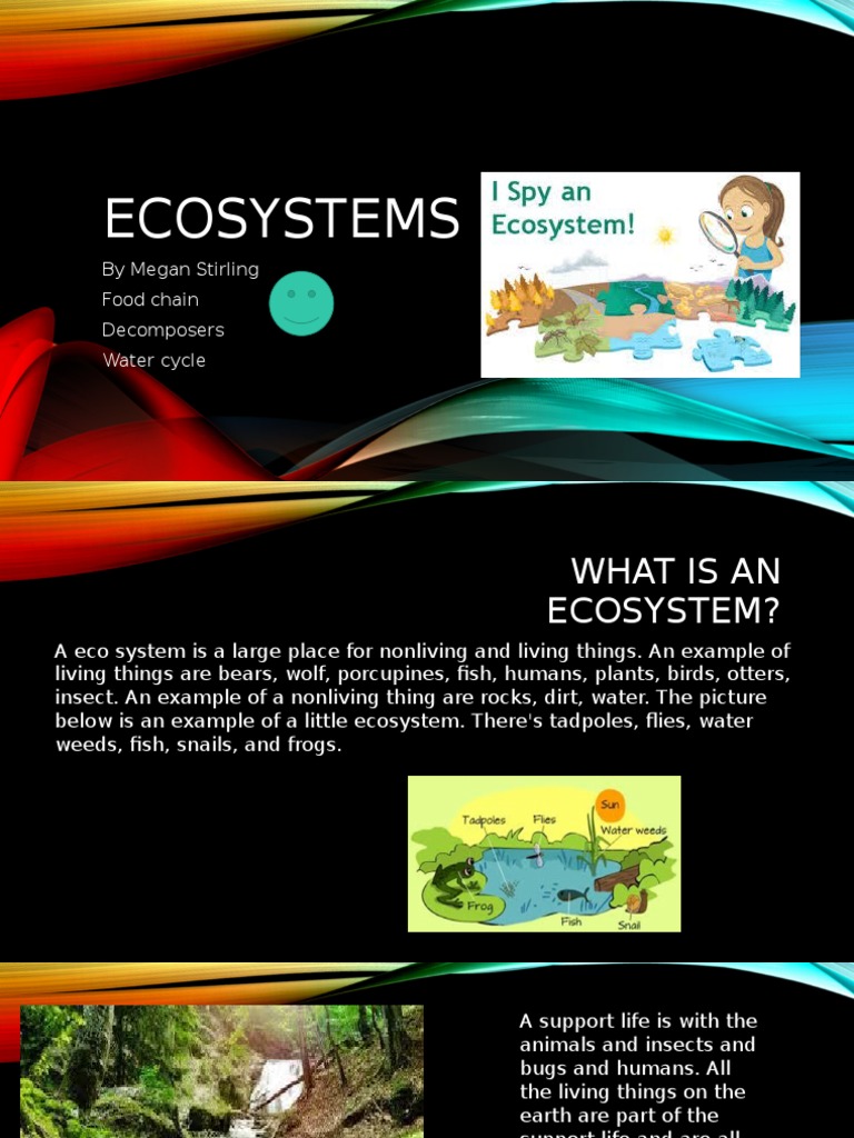 Understanding Ecosystems Basics | PDF | Science & Mathematics