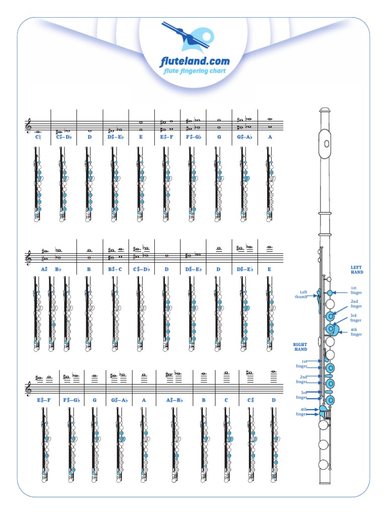 Flute Chart | PDF | Art