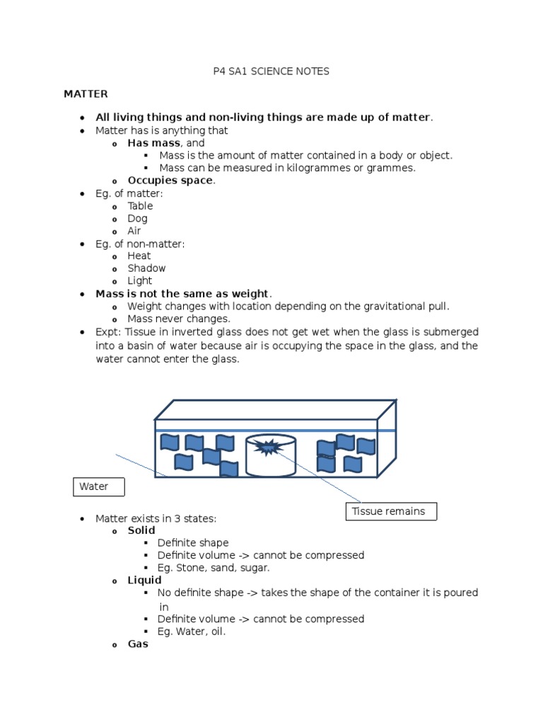 p4 Sa1 Science Notes | Leaf | Heat