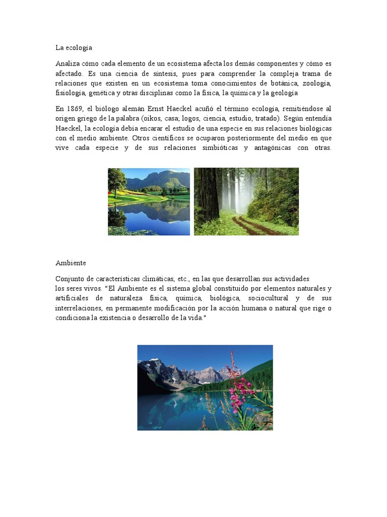 Dioge | PDF | Ozono | Contaminación