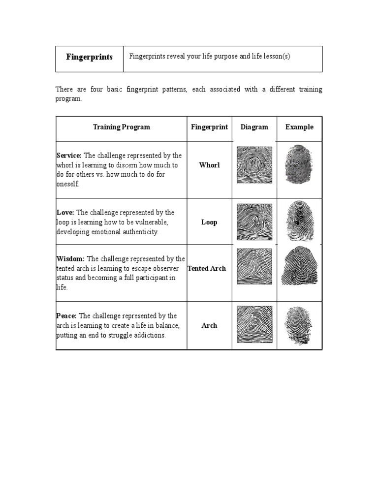 Fingerprints: Training Program Fingerprint Diagram Example | PDF ...