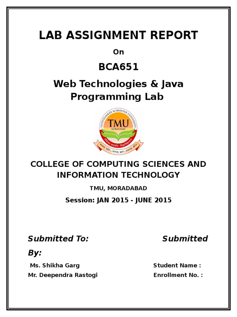 Bca 651 Java Lab Assignment Pdf Method Computer Programming