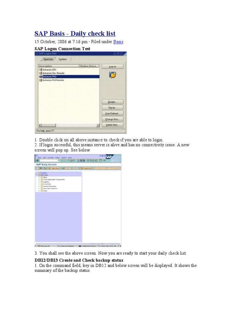 SAP Basis - Daily Check List: SAP Logon Connection Test | PDF | Backup ...
