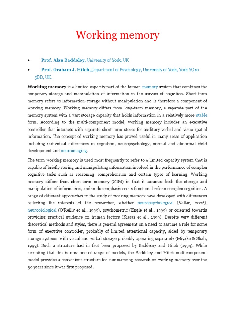 Working Memory | PDF | Working Memory | Long Term Memory