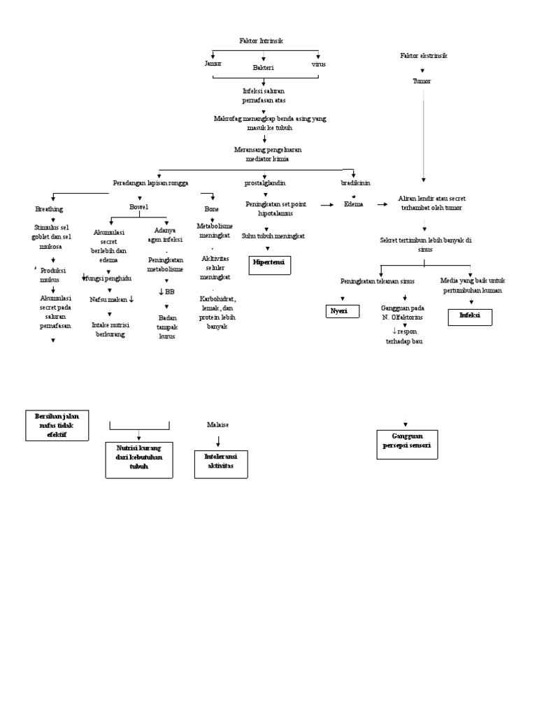 Pathway Sinusitis | PDF | Kesehatan Holistik