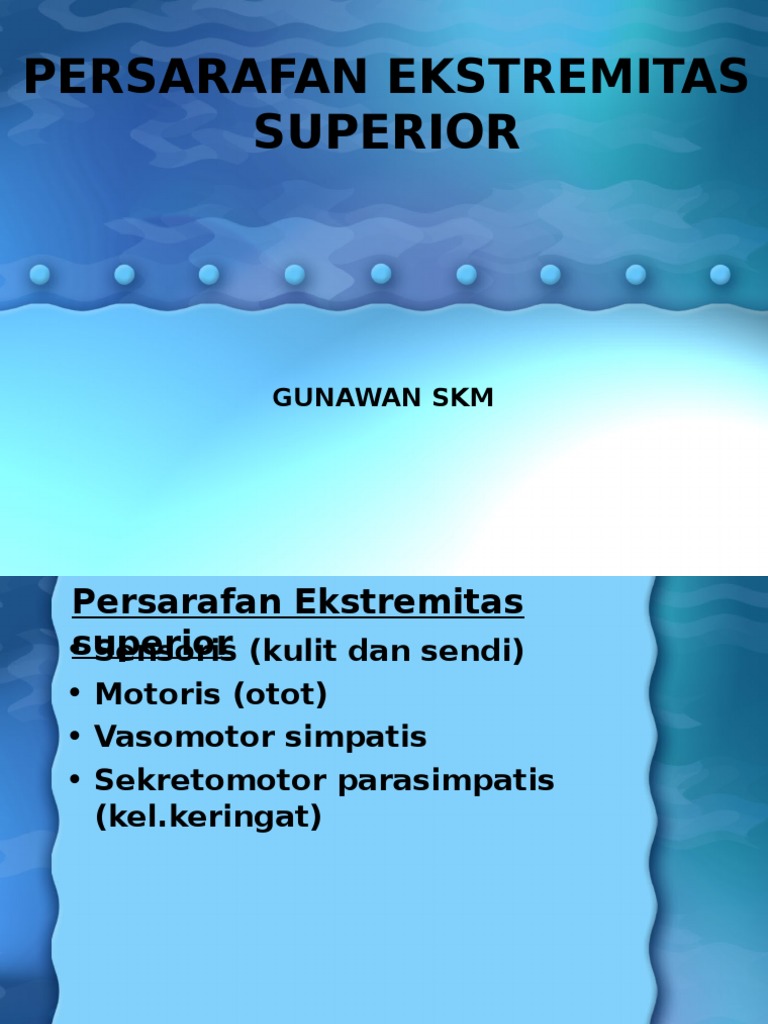 Persarafan Ekstremitas Superior | PDF