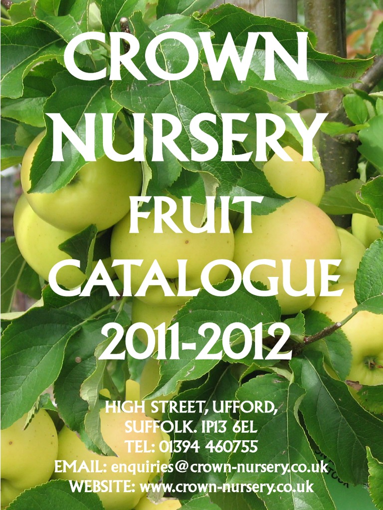 Fruit Catalogue 2011-12 PDF | PDF | Apple | Orange (Fruit)