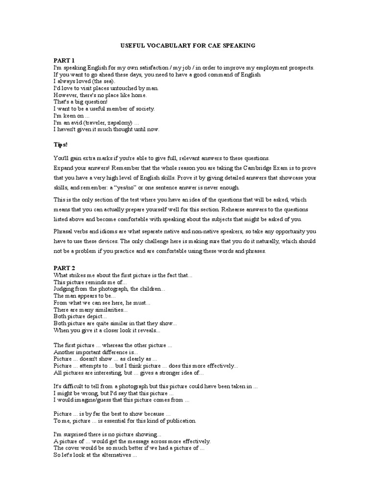 CAE Speaking Vocabulary and Phrases | PDF | Phrase | English Language