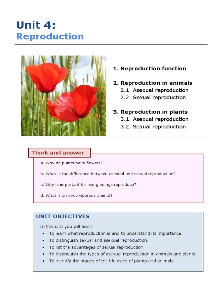 Unit 4 Reproduction | PDF | Sexual Reproduction | Flowers