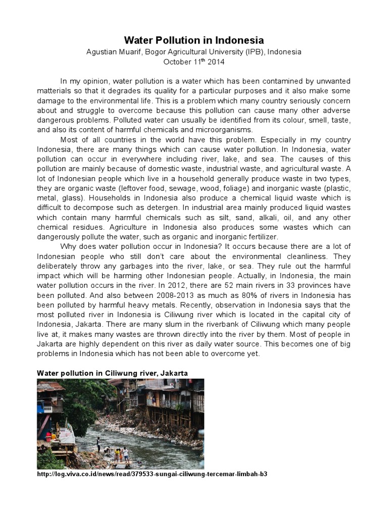 Water Pollution in Jakarta's Ciliwung River | PDF | Water Pollution ...