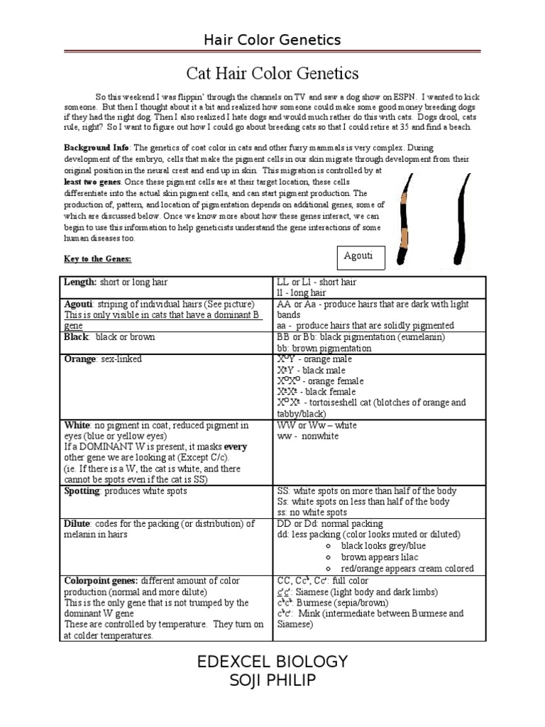 Cat Color Genetics - TC | Download Free PDF | Genotype | Zygosity