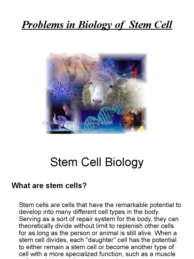 Problems in Biology of Stem Cell | PDF