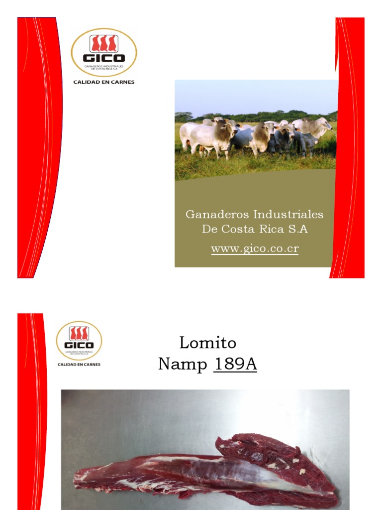 Catálogo GICO Carnes - U.S.A. - Espanol | PDF | Agricultura | Naturaleza