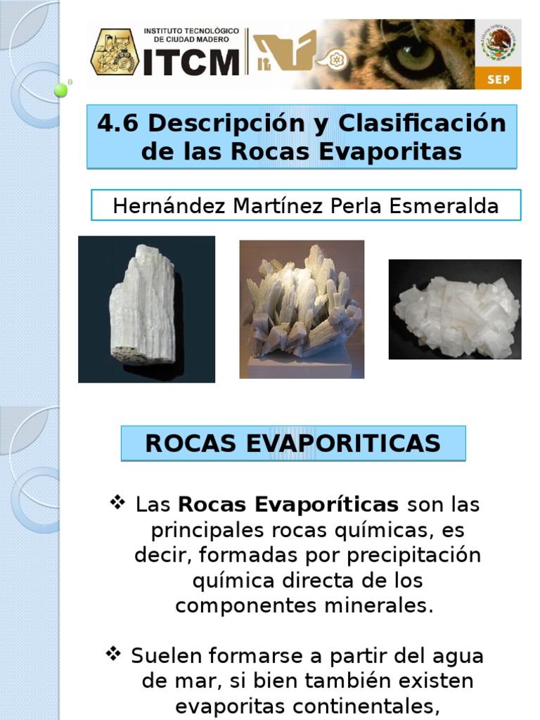 Evaporiticas | PDF | Minerales | Roca (geología)