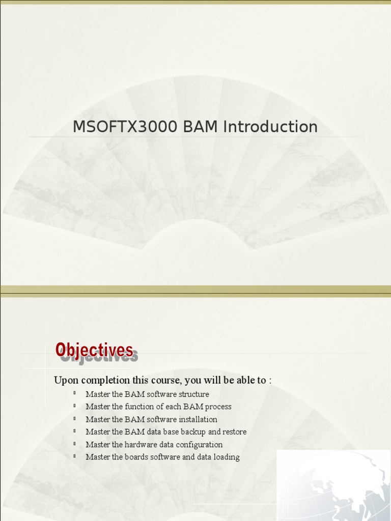 BAM Software Installation and Configuration Guide | PDF | Windows 2000 ...