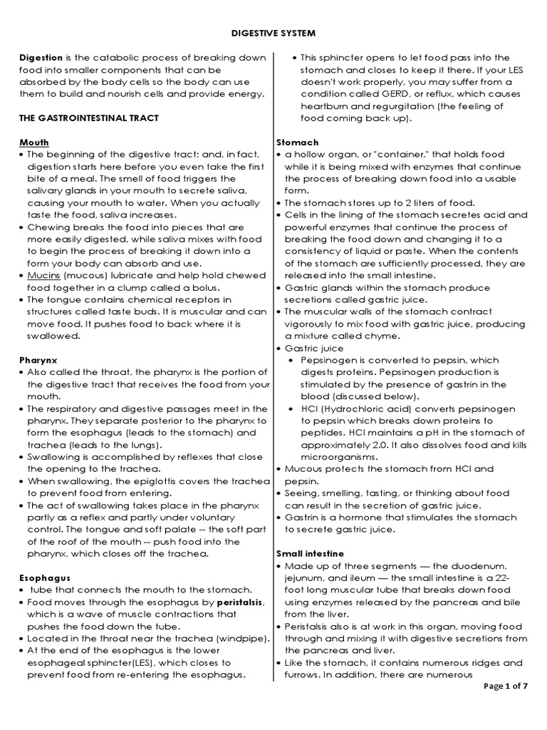 Digestive System Handout | Download Free PDF | Digestion | Stomach