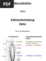 Ivostar Gnathostar Mould Chart | PDF