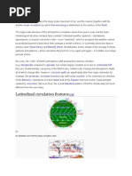 Tri Cellular Model Handout | PDF | Atmospheric Circulation | Oceanography