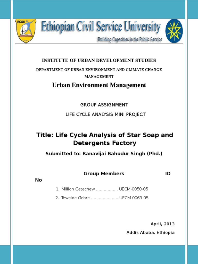 Life Cycle Assessment of Soap and Detergents | PDF | Life Cycle ...