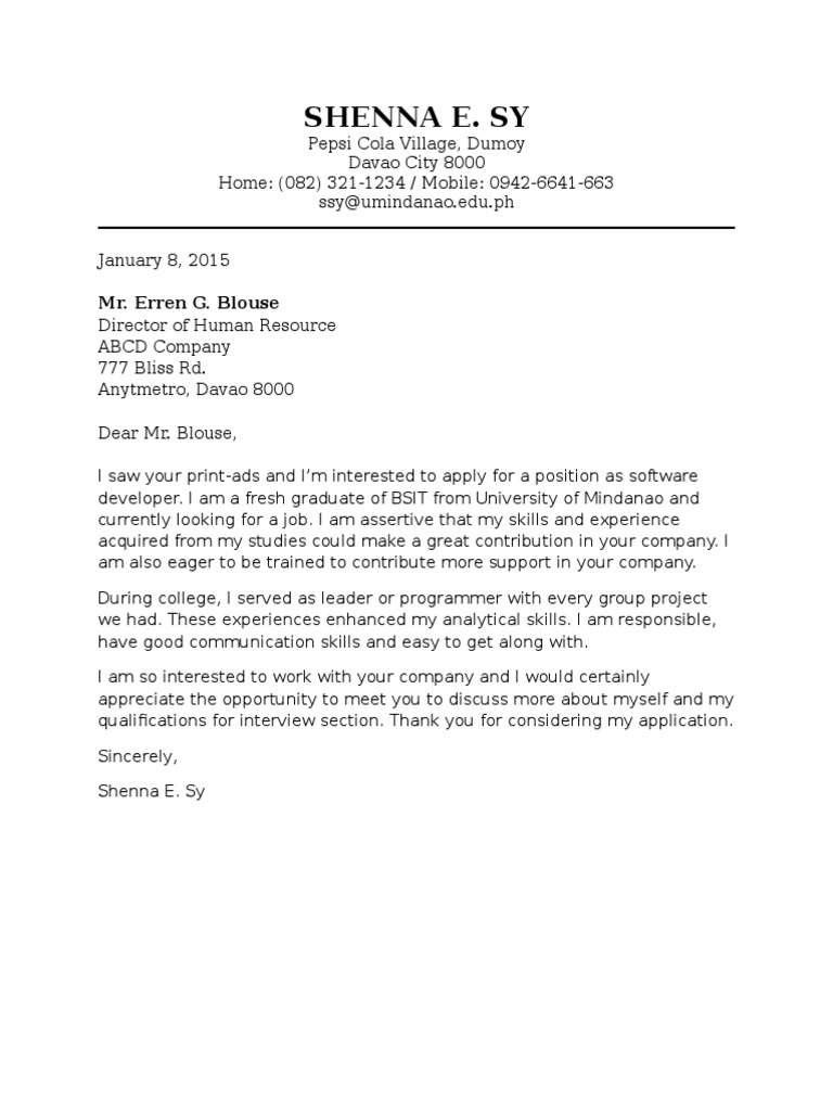 Application for Software Developer Position | PDF | Social Science