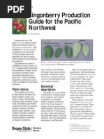 English Conversations For Waiters | PDF | Restaurants | Waiting Staff