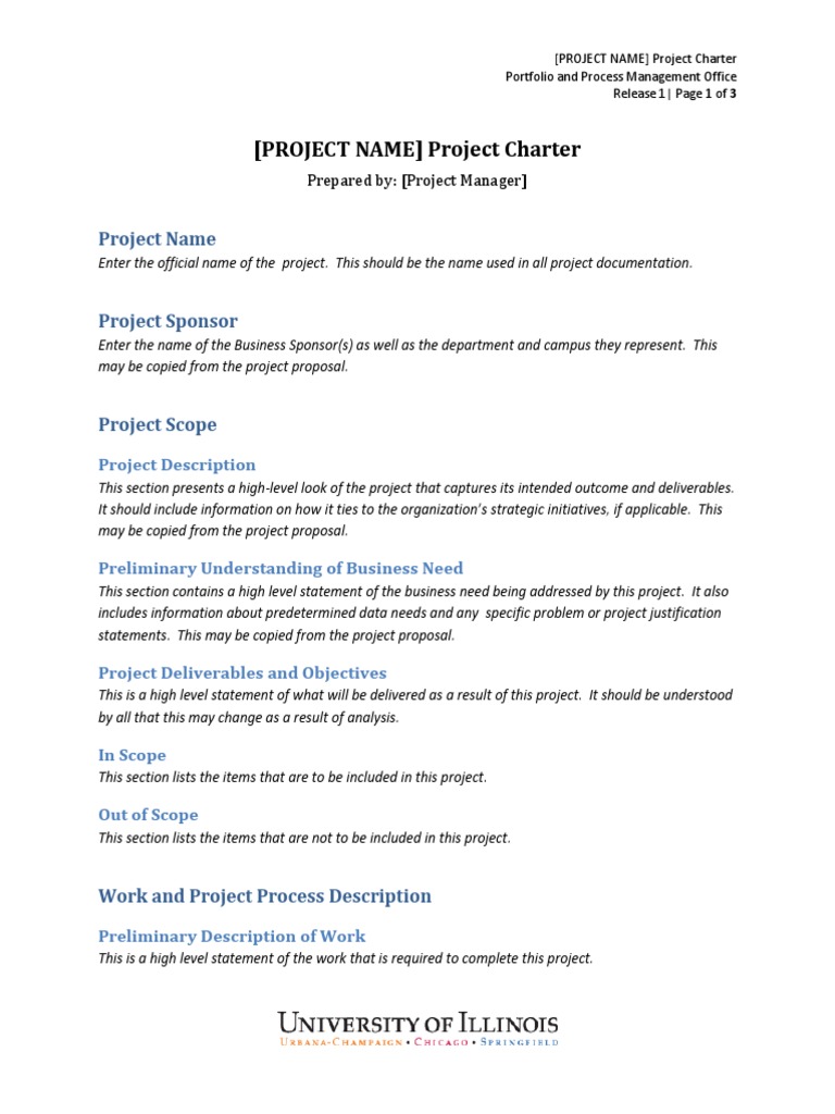 Project Charter for [PROJECT NAME] Outlining High Level Scope ...