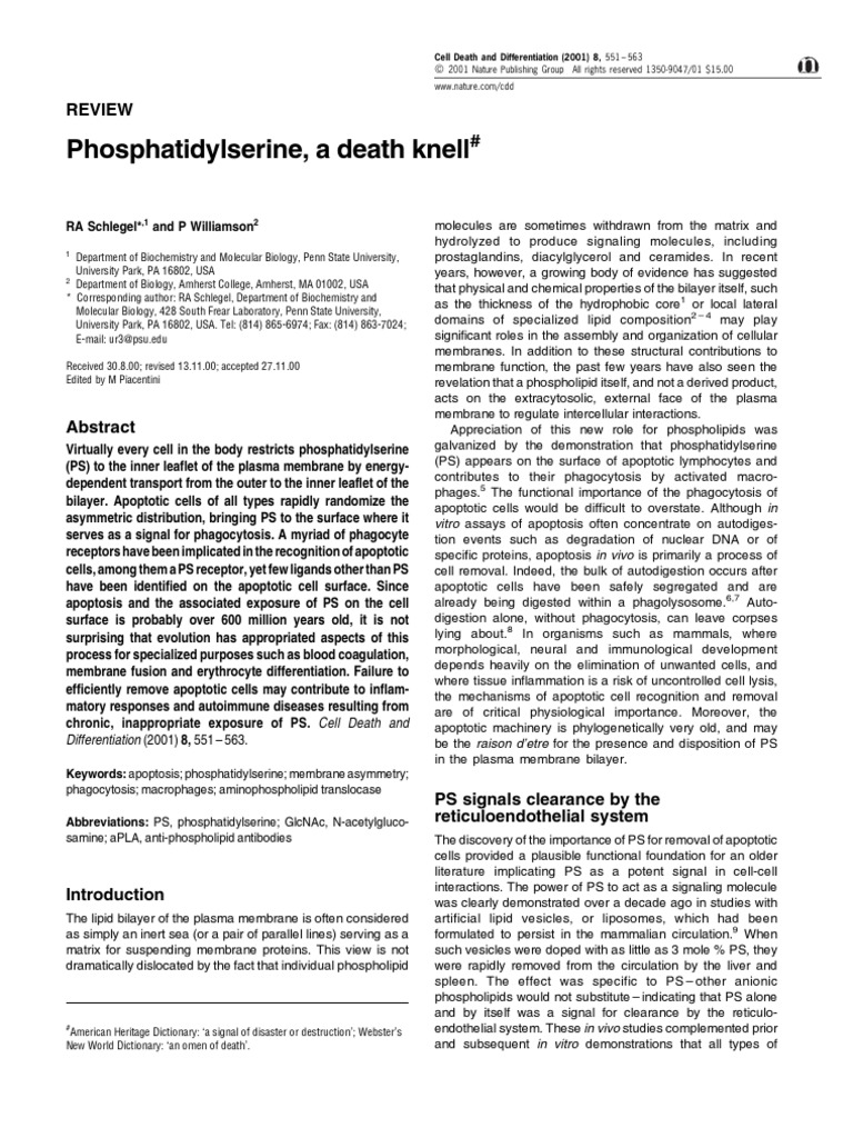 PtdSer Death KnellPhosphatidylserine, A Death Knell. | PDF | Apoptosis ...
