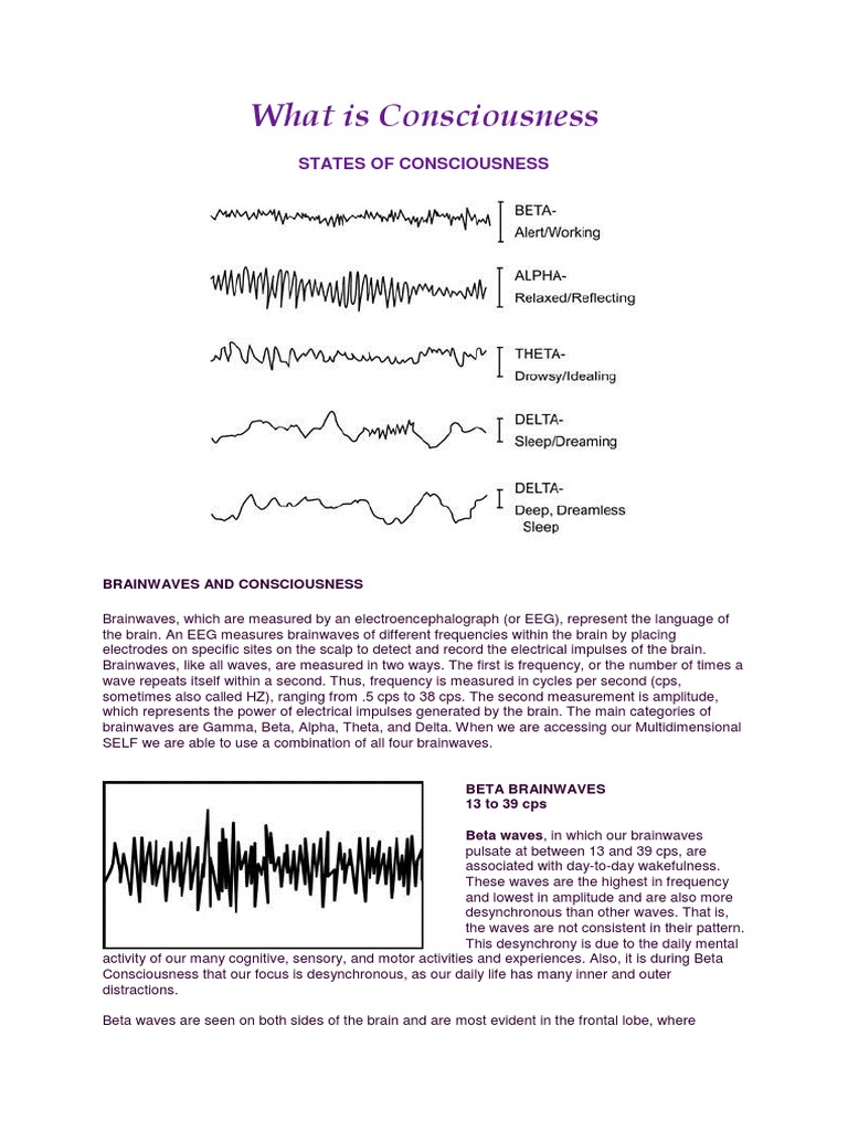 Understanding States of Consciousness | PDF | Electroencephalography ...