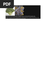 Compact vs Non-Compact Steel Sections | PDF | Materials Science ...