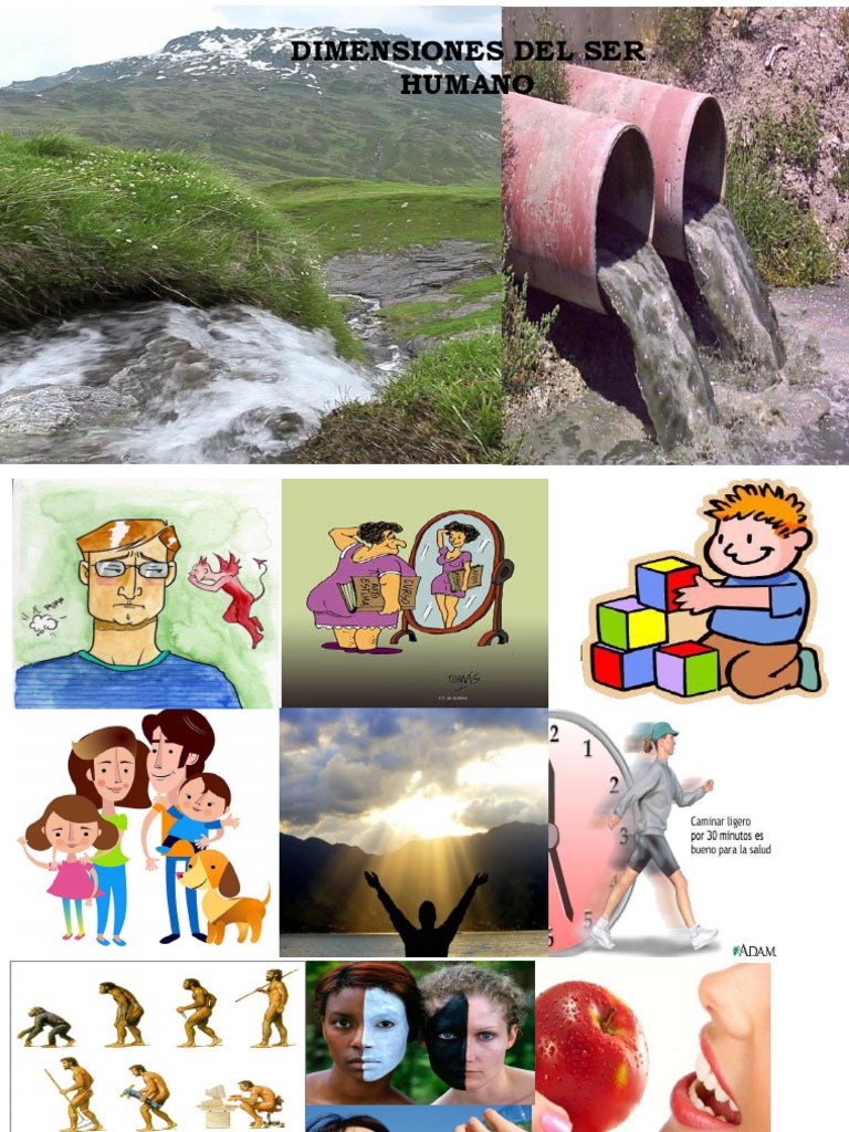 Dimensiones Del Ser Humano Collage | PDF