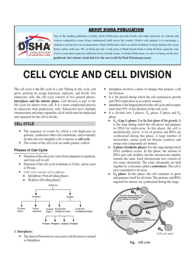 Cell Cycle and Cell Division | PDF | Meiosis | Mitosis