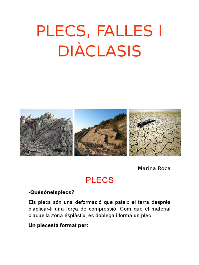 Plecs | PDF