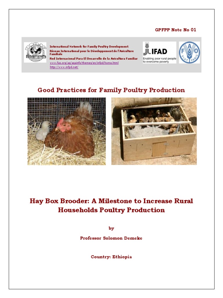 Electrical Brooder | PDF | Chicken | Framing (Construction)